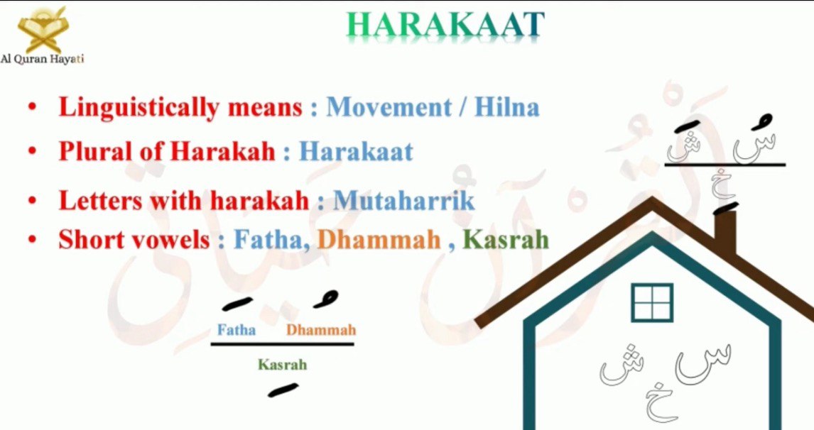 08. Harakaat – Fattha, Dhammah & Kasrah : Short Vowels – Zabar, Zair ...