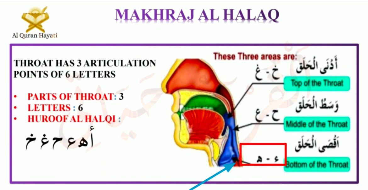 03. Makhraj Al Halaq – Throat Letters – imsjeddah